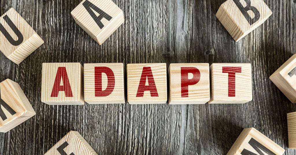 6 Tips to Adjusting to Change: How to Adapt and Overcome – EPB Tanzania