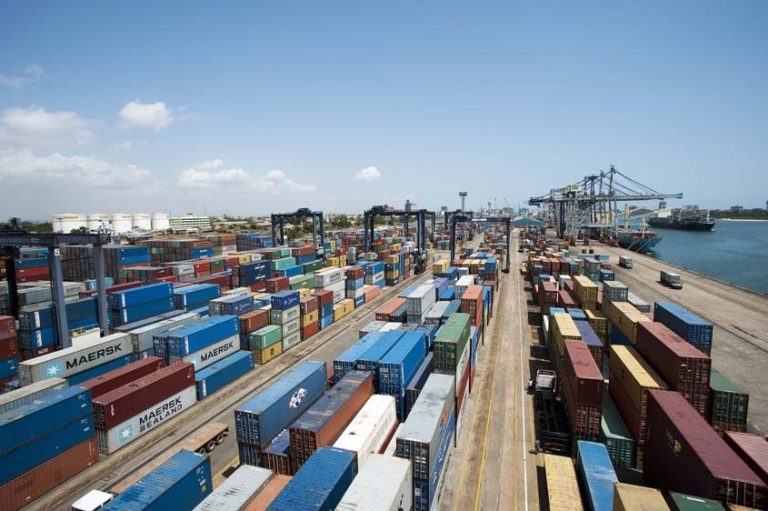 Mgao Island Cargo Port Hits 25% Completion as TZS 435B Investment ...